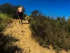 Wandering the Wisdom Tree Trail in Los Angeles | EXSPLORE