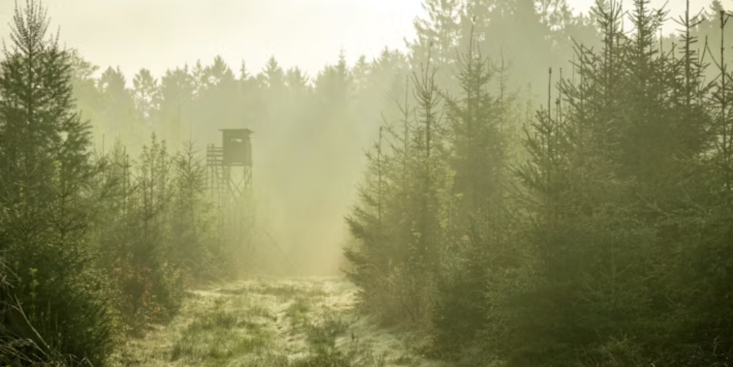10 Best Deer Hunting Outfitters in Wisconsin | EXSPLORE