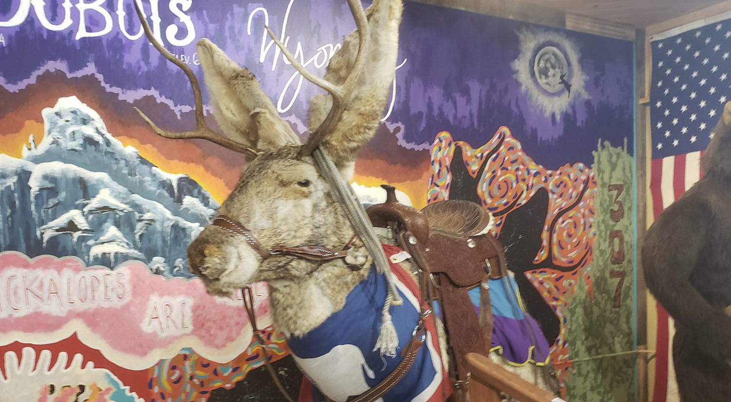 20 Top Things To Do In Dubois, Wyoming [Complete Guide] | EXSPLORE