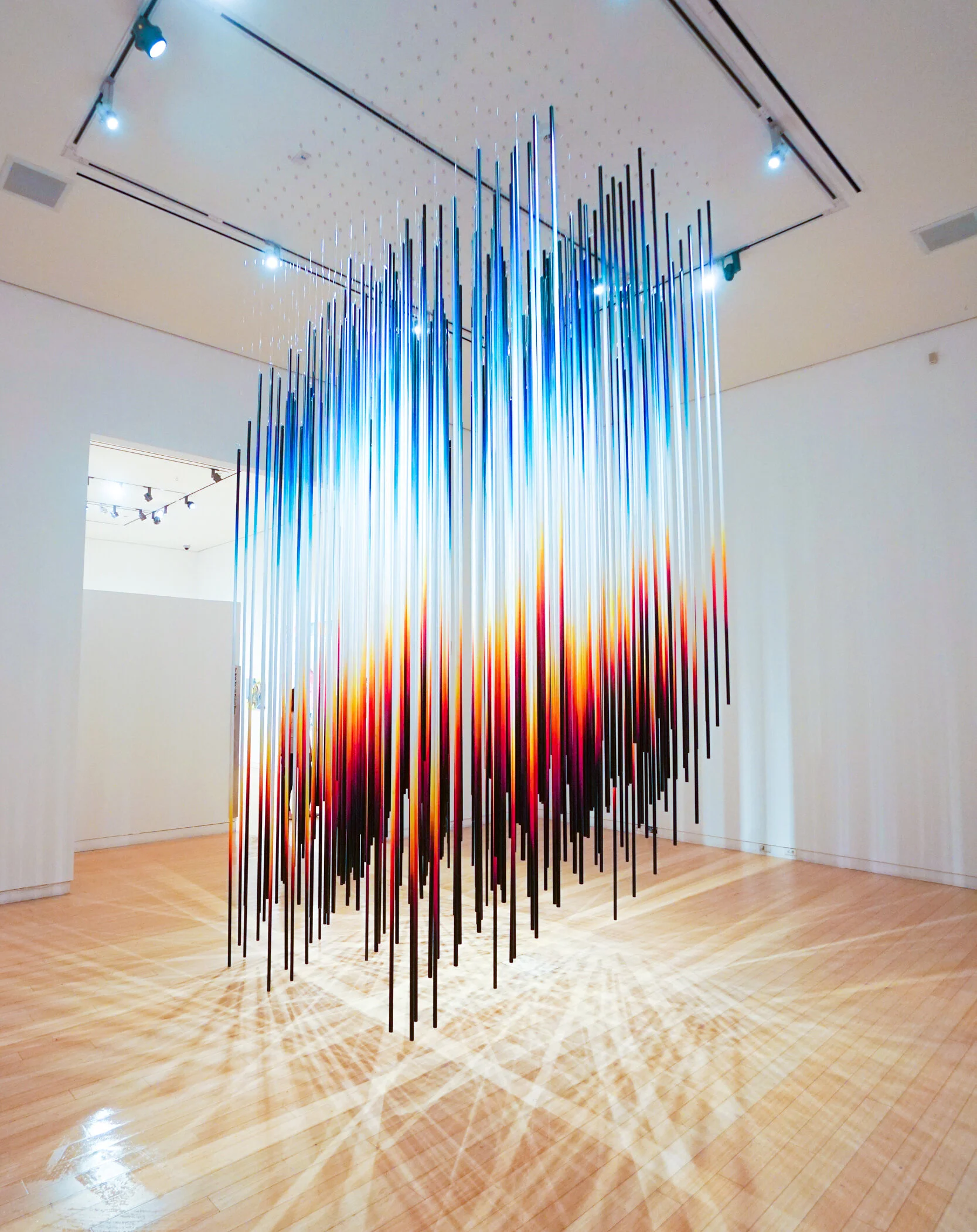 FELIPE PANTONE — CHROMADYNAMICA