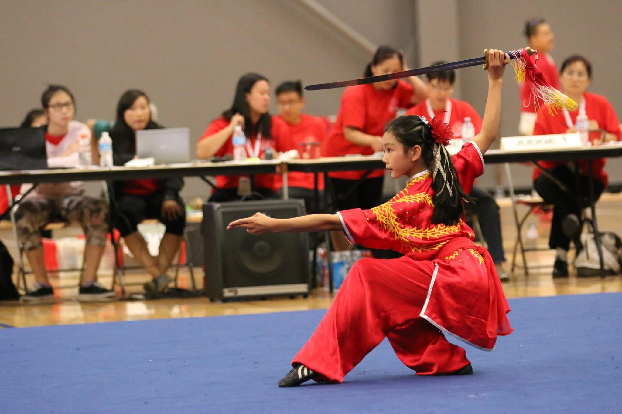 Wayland Li Martial Arts Centre | Wushu | Toronto, Ontario, Canada