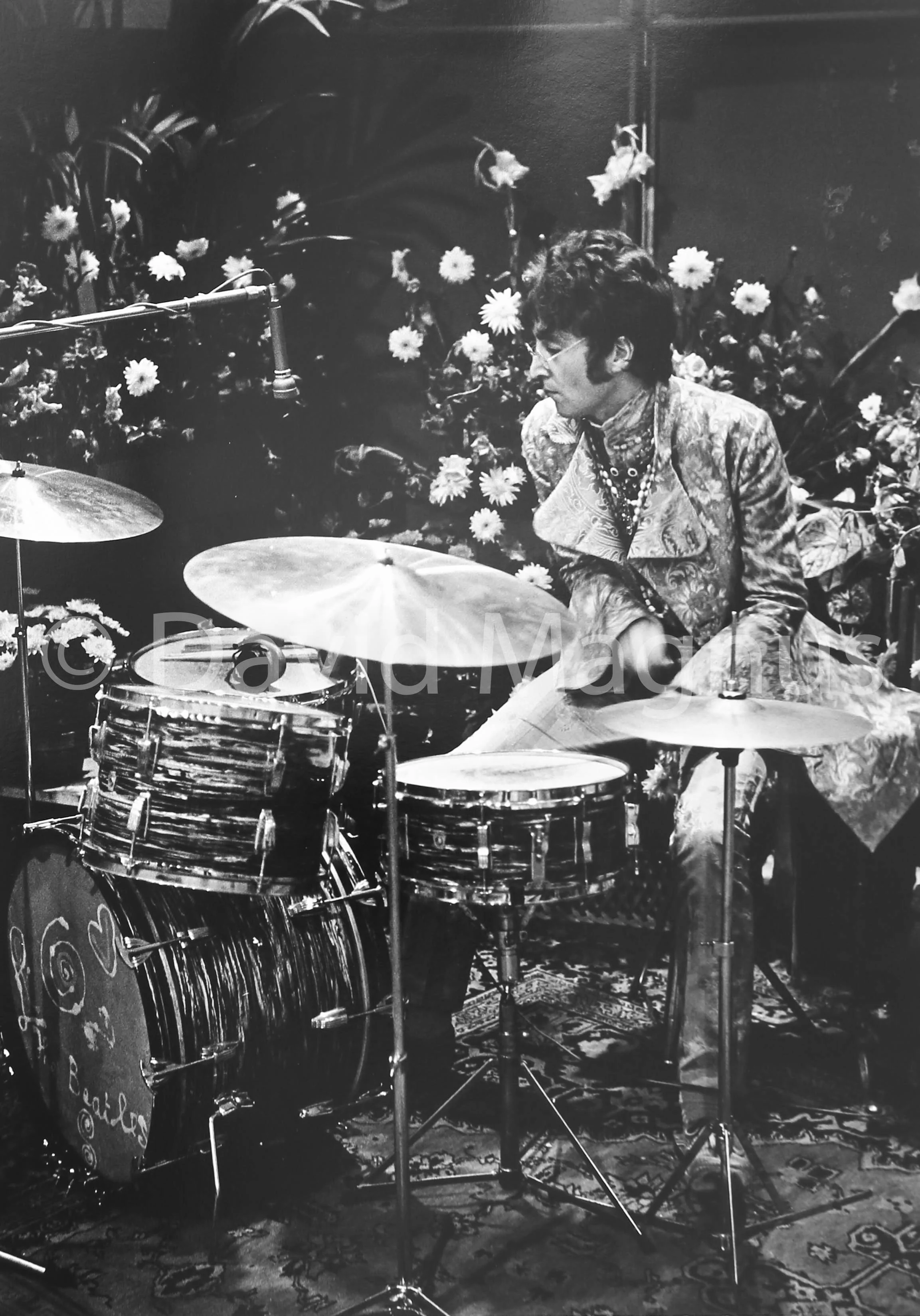 Beatles Gallery — David Magnus