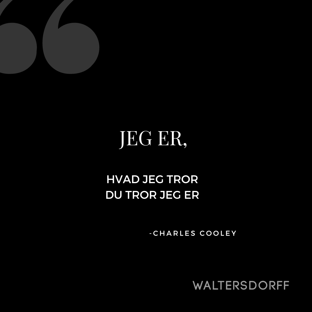Jeg er, hvad jeg tror du tror jeg er — Waltersdorff consulting