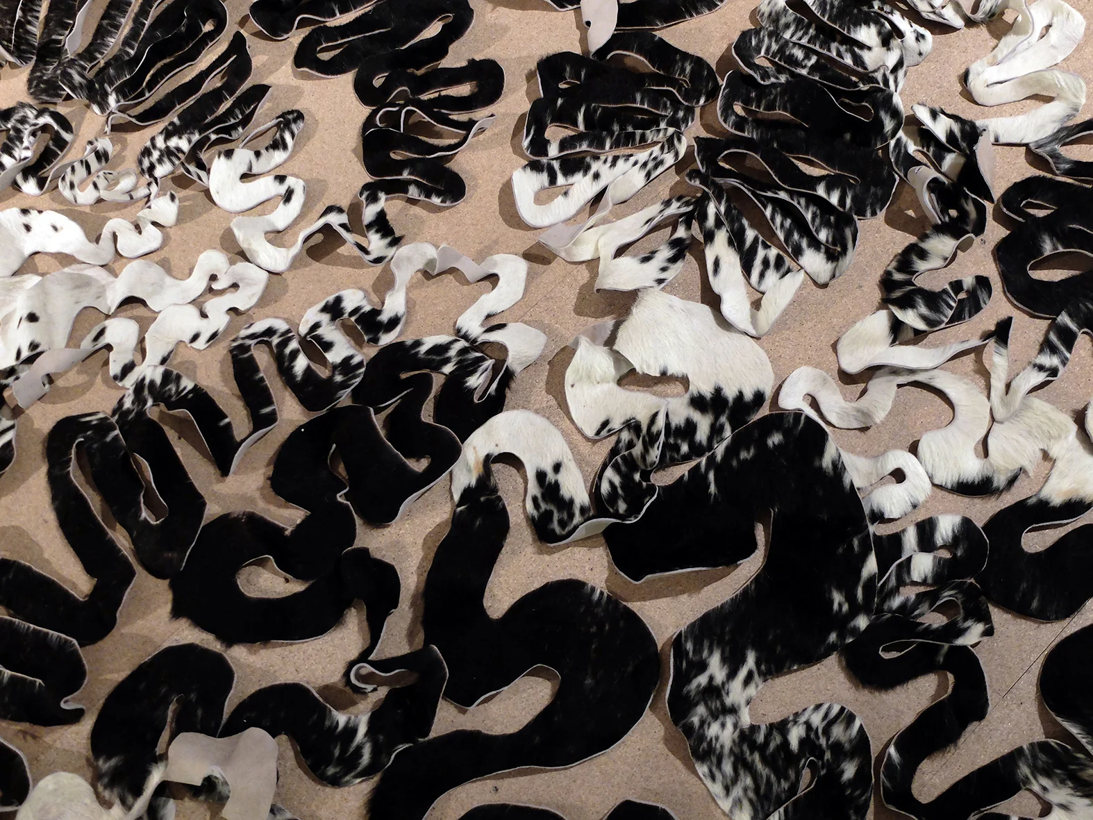 Dido Problem — Nikolaj Jesper Cyon