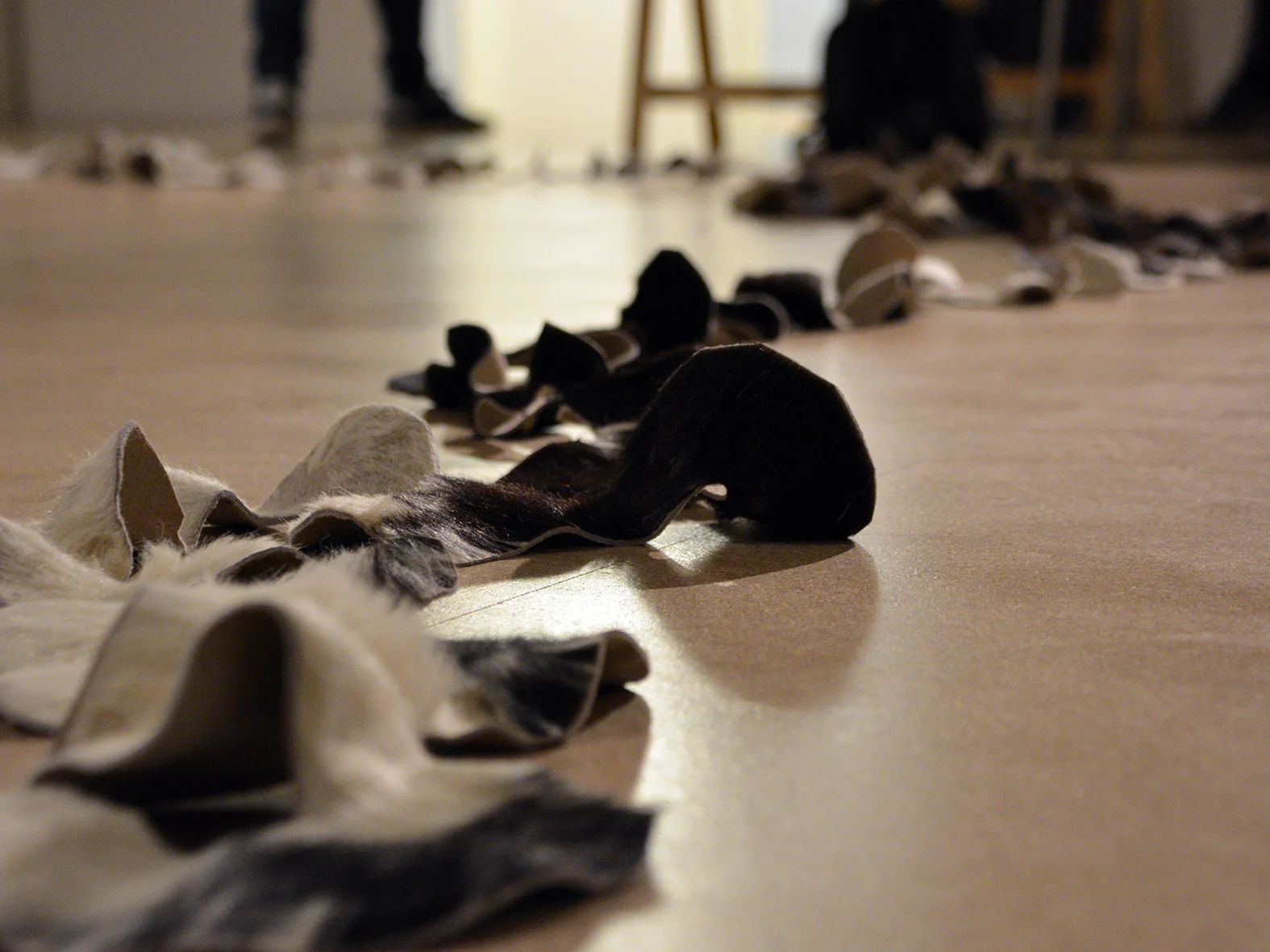 Dido Problem — Nikolaj Jesper Cyon