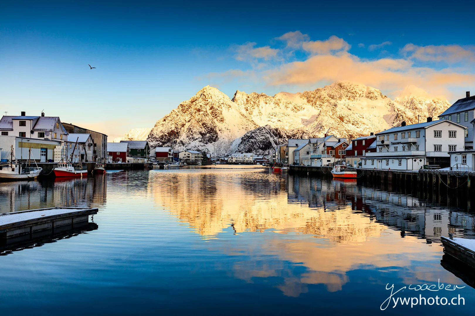lofoten — ywphoto