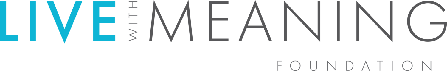 What is a worldview and why is it important? — Live with Meaning Foundation