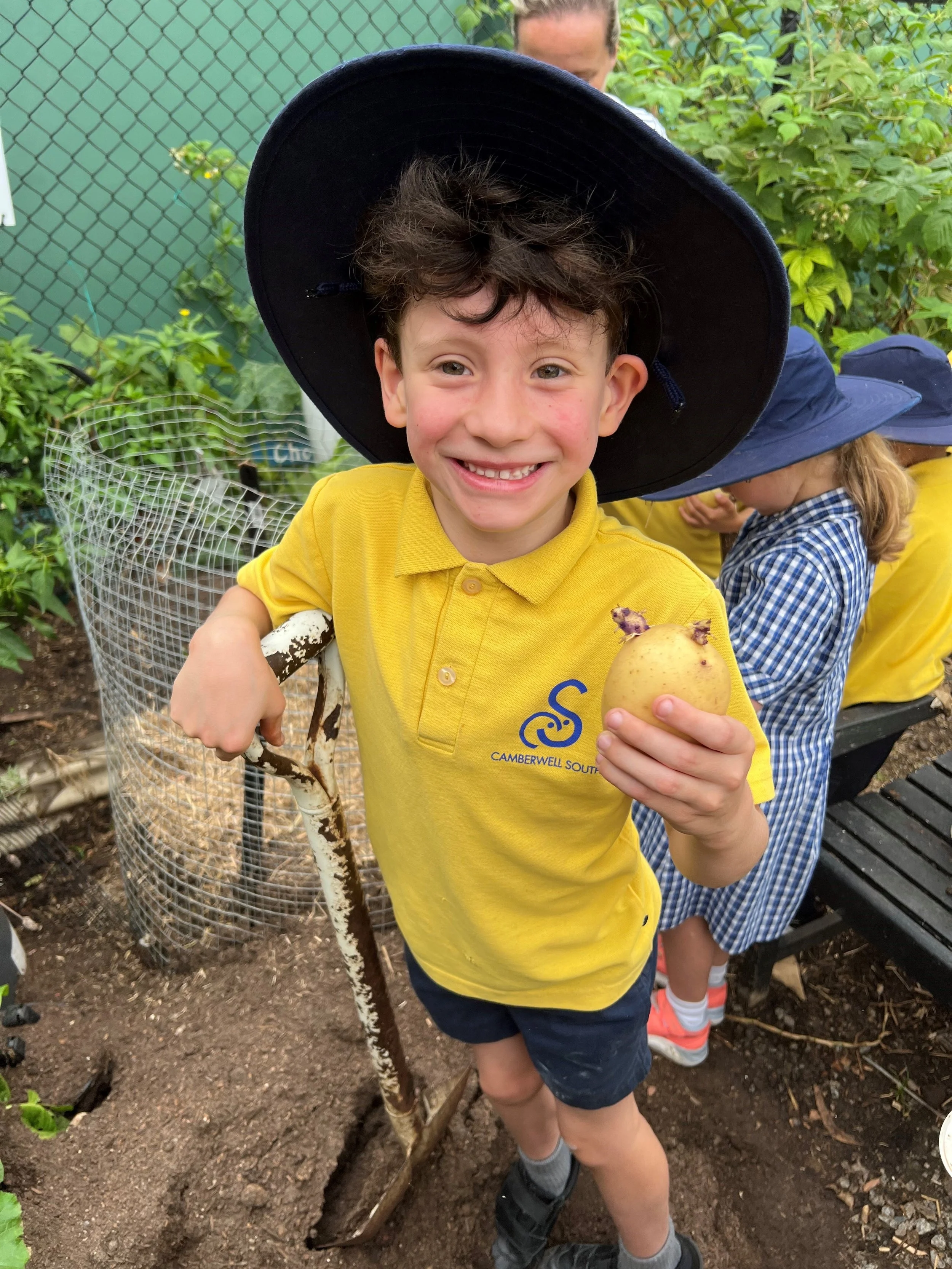 Kitchen Garden & Chickens — Camberwell South Primary School