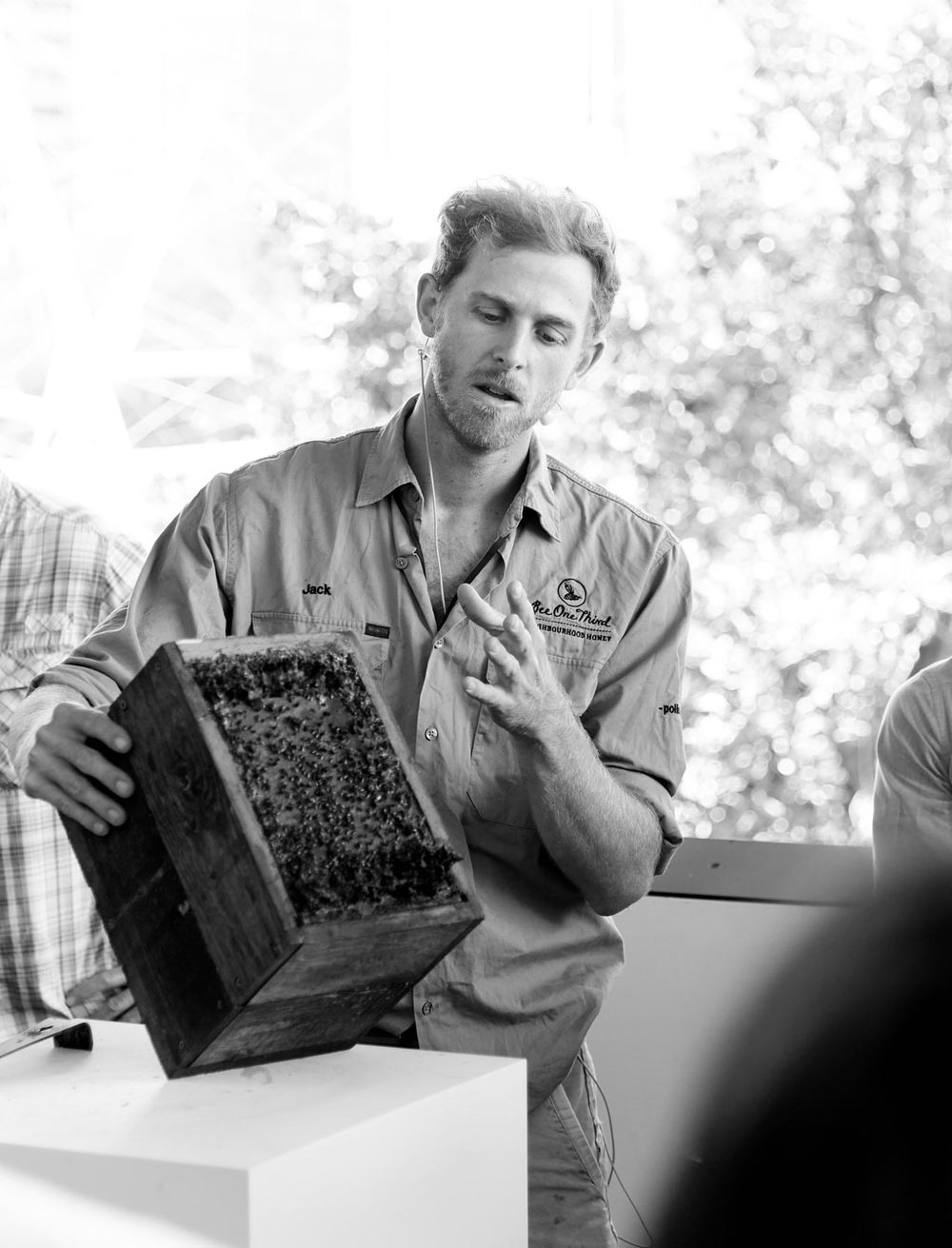 Jack Stone On The Power Of Pollination To Create Impactful Change ...