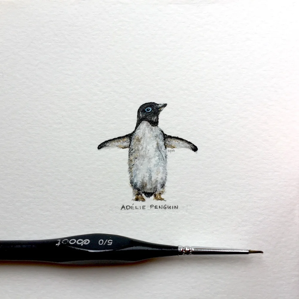 Adélie Penguin — the miniature zoo