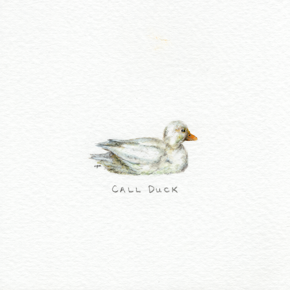 055 | "Call Duck" — the miniature zoo