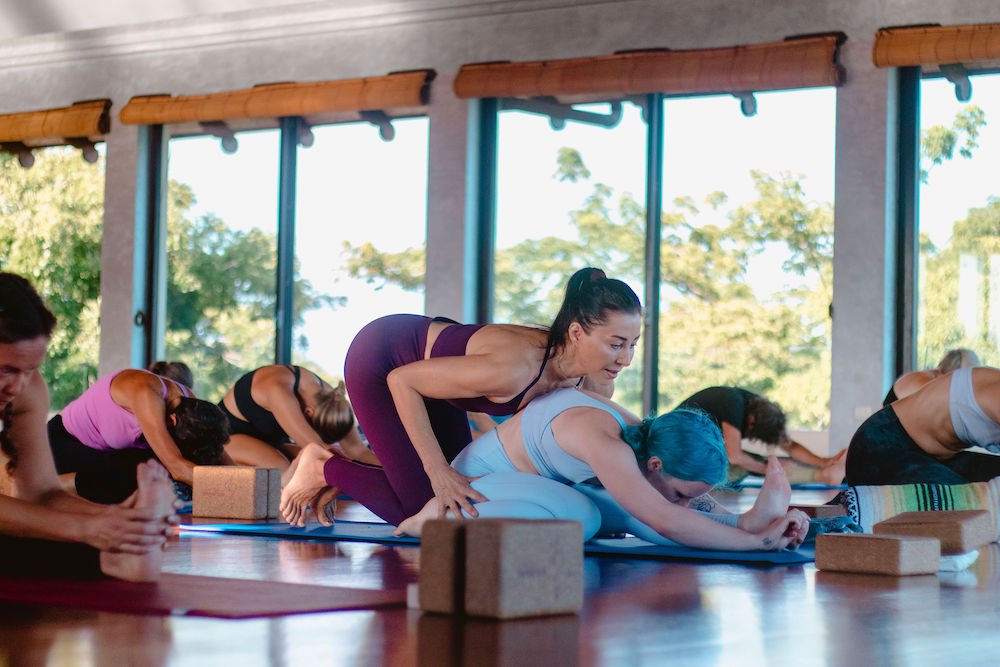 Yoga Teacher Trainings — Michele Loew