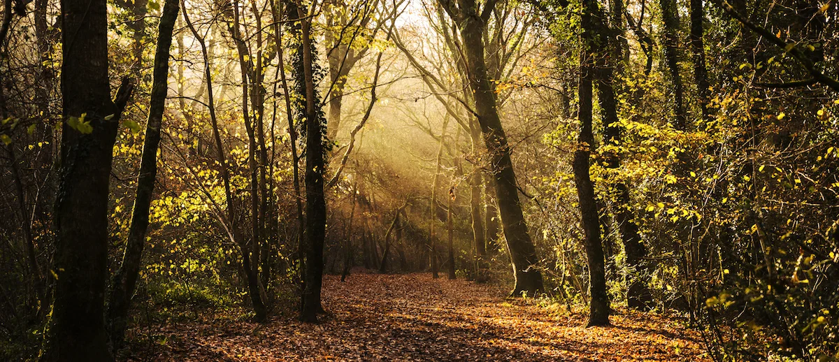 Comment: A Writer's Landscape, by Gabby Willcocks — Falmouth University ...