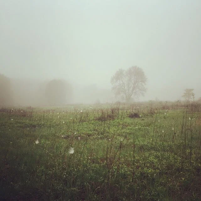 Home [fallenaspenfarm.com]