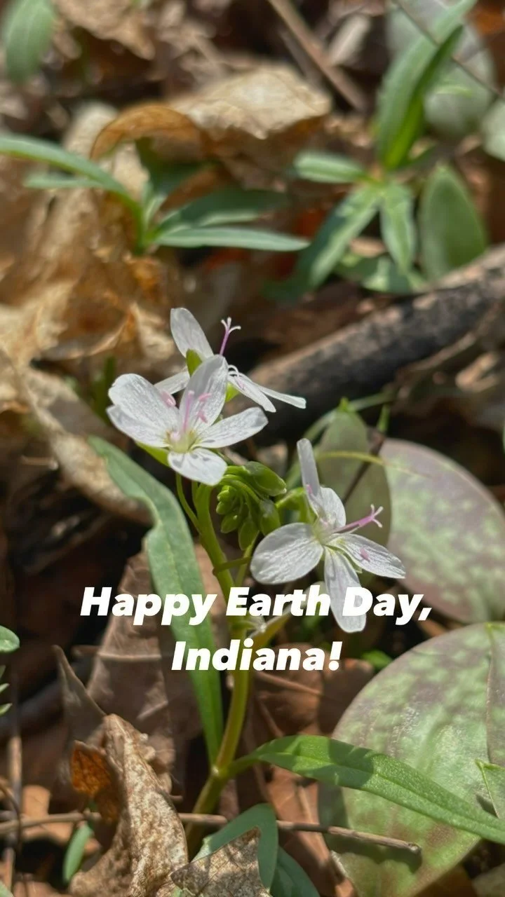 Earth Charter Indiana