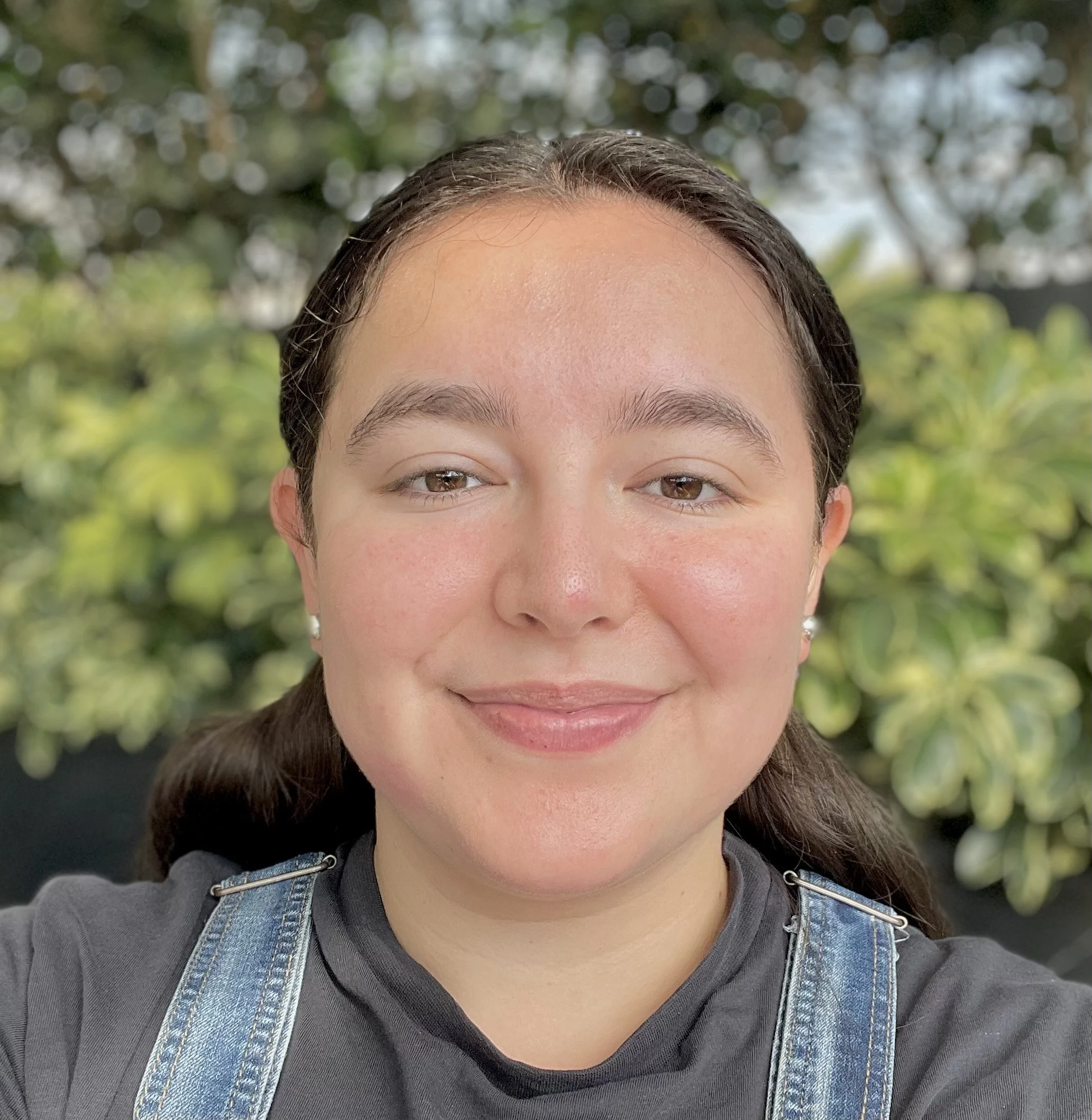 Earth Charter Indiana