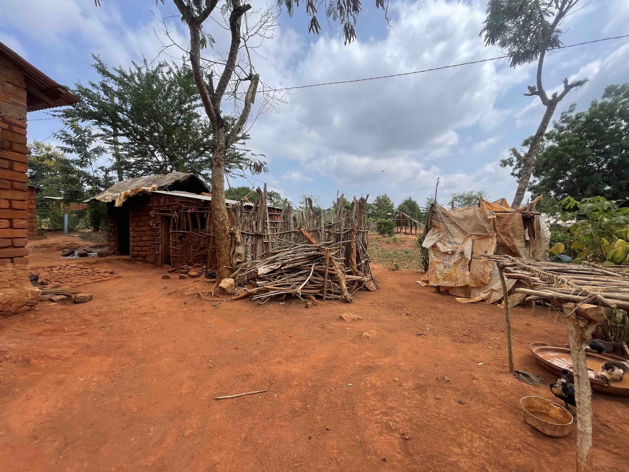 Chicken Legs & Home Visits — Unite The World With Africa Foundation