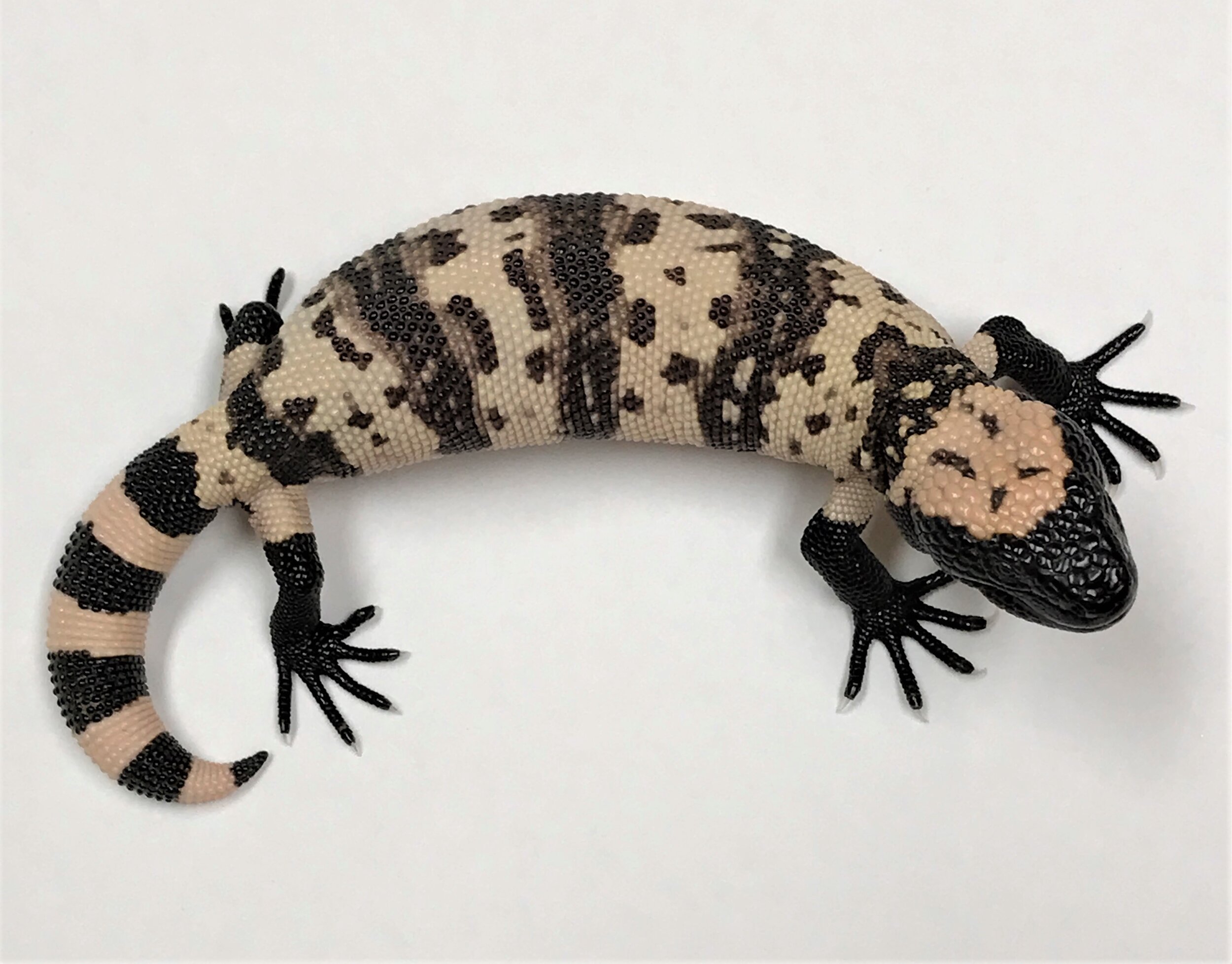 Arizona Reticulated Gila Monsters — Professional Breeders