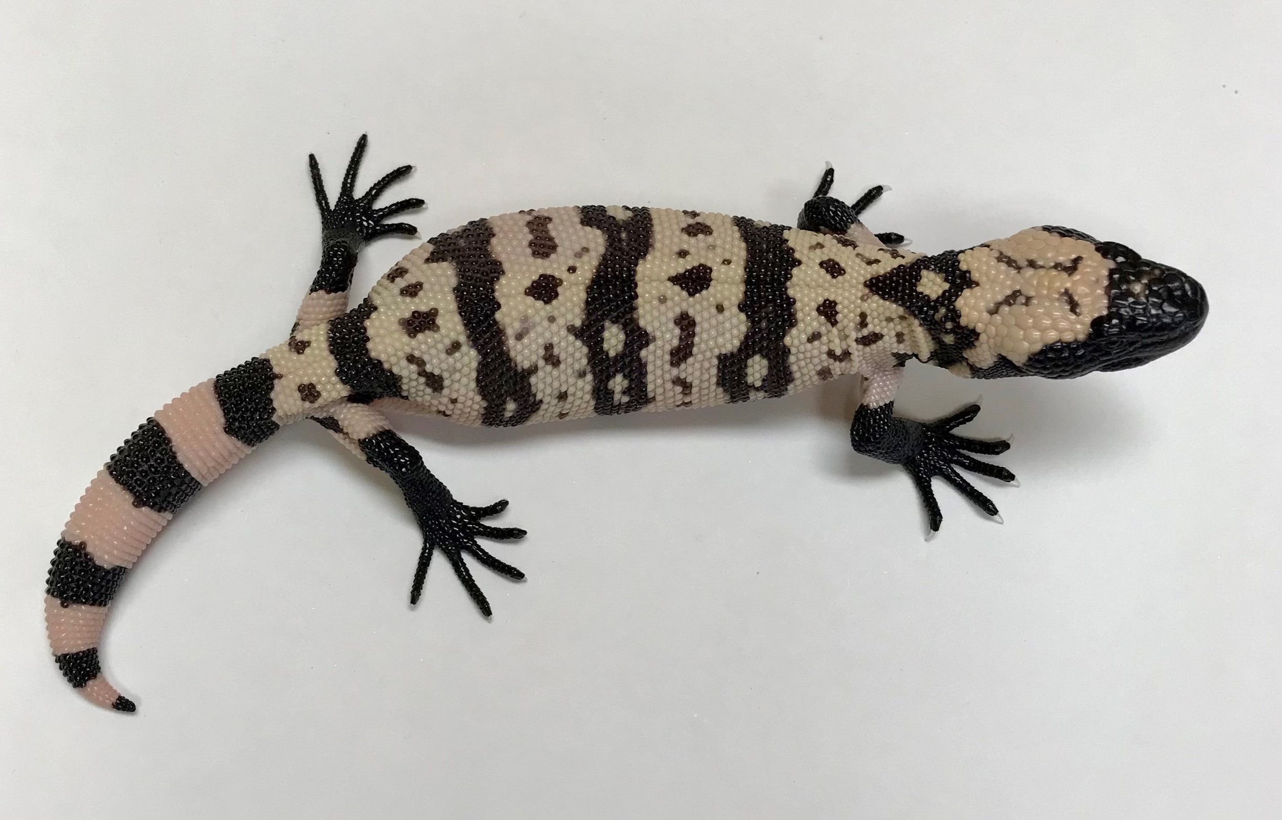 Banded Gila Monster