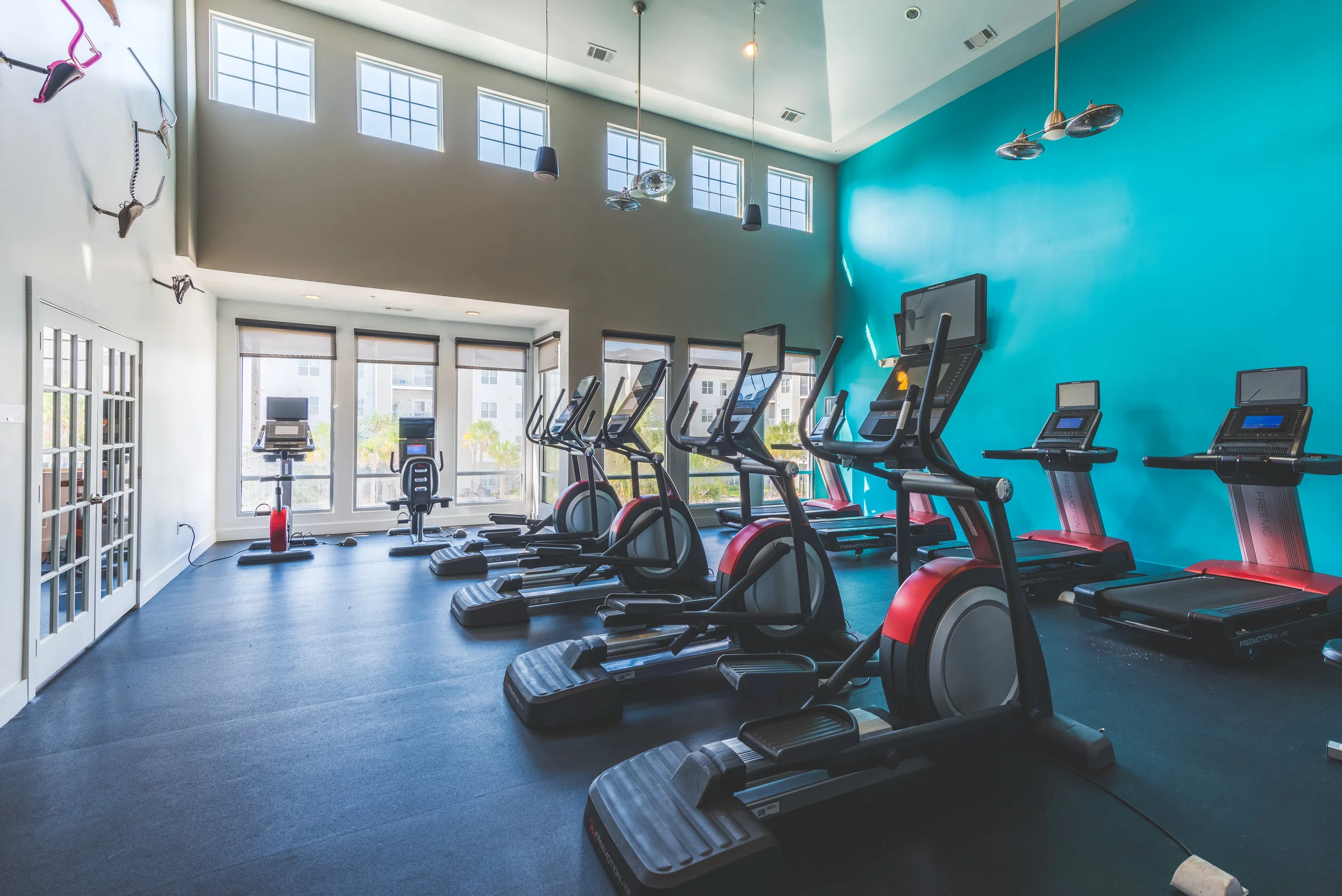 Monarch 301 | GALLERY