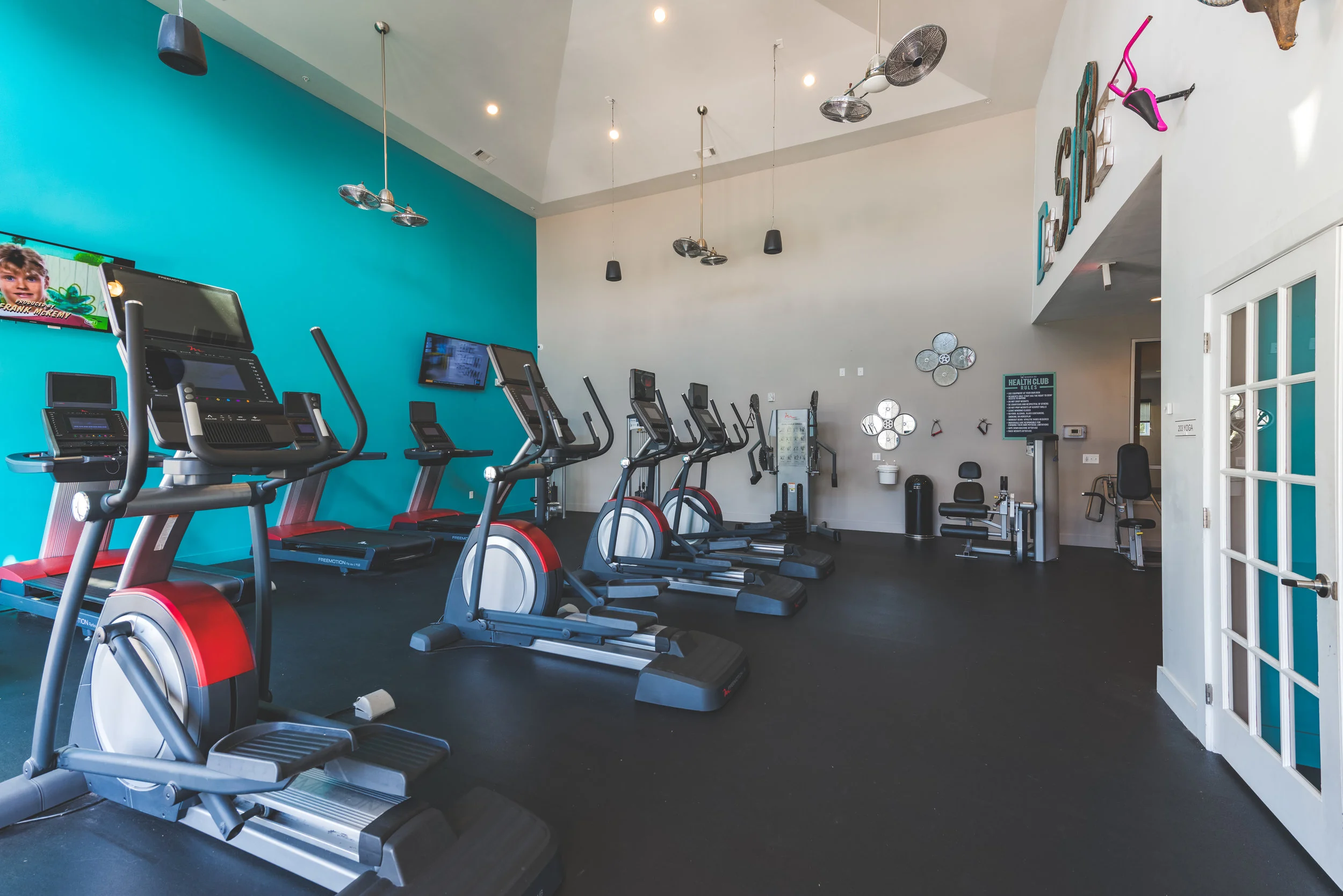 Monarch 301 | GALLERY