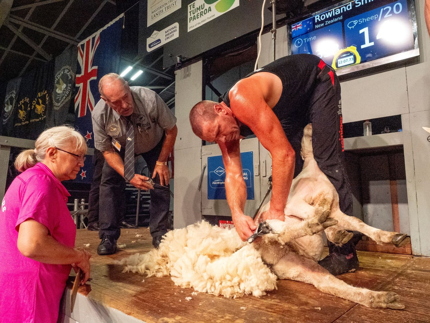 Five titles as New Zealand dominates World shearing ad woolhandling ...