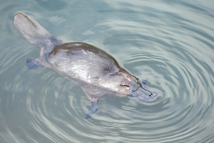 Michael Roberts Photography