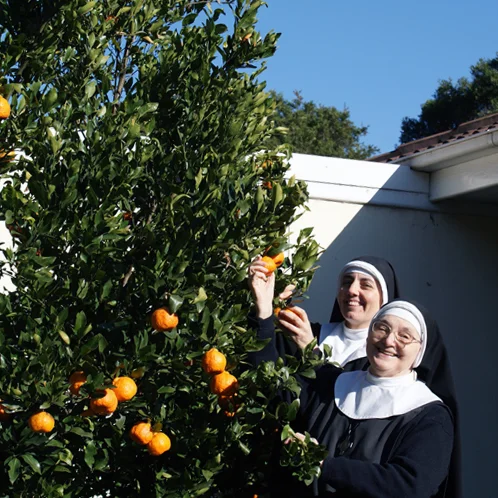 Monasteries — Tyburn Monastery