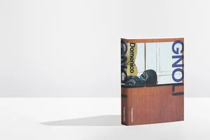 Les toiles hyper réalistes de Domenico Gnoli — Les Indispensables