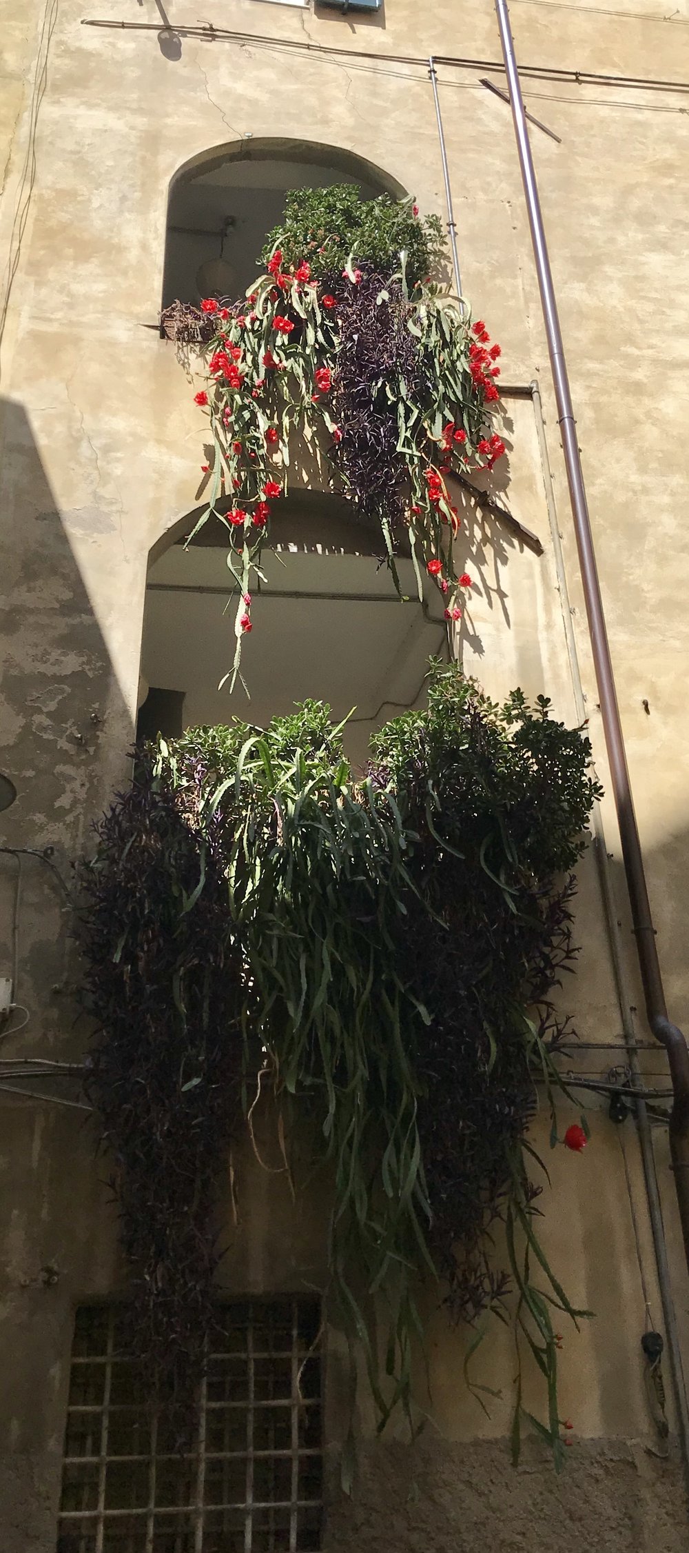 Italian Window Art — Two Parts Italy