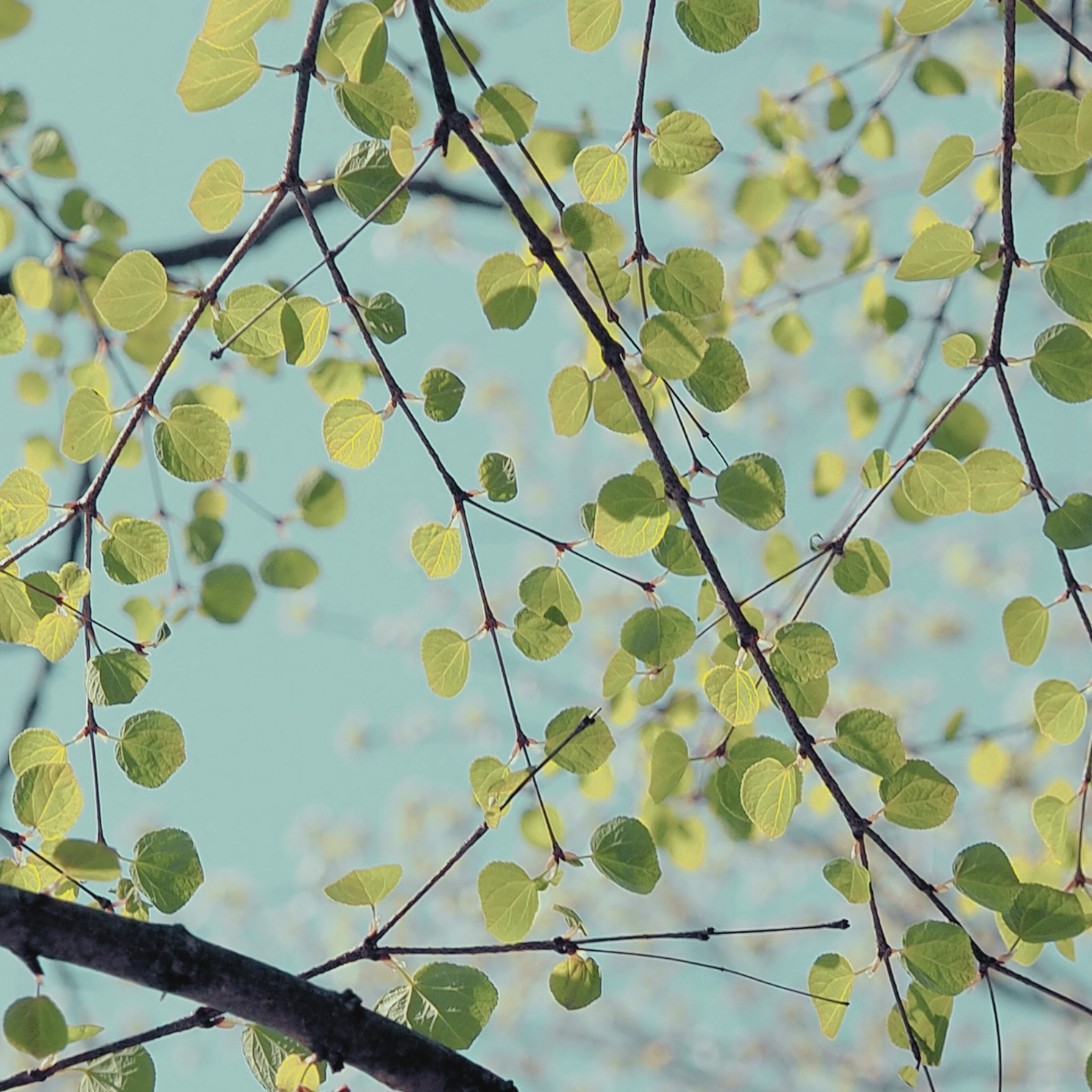 Knowing God’s Love — Encouraging.com