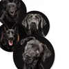 The Black Dog Project — Gal's Best Friend- Dog Mom Site