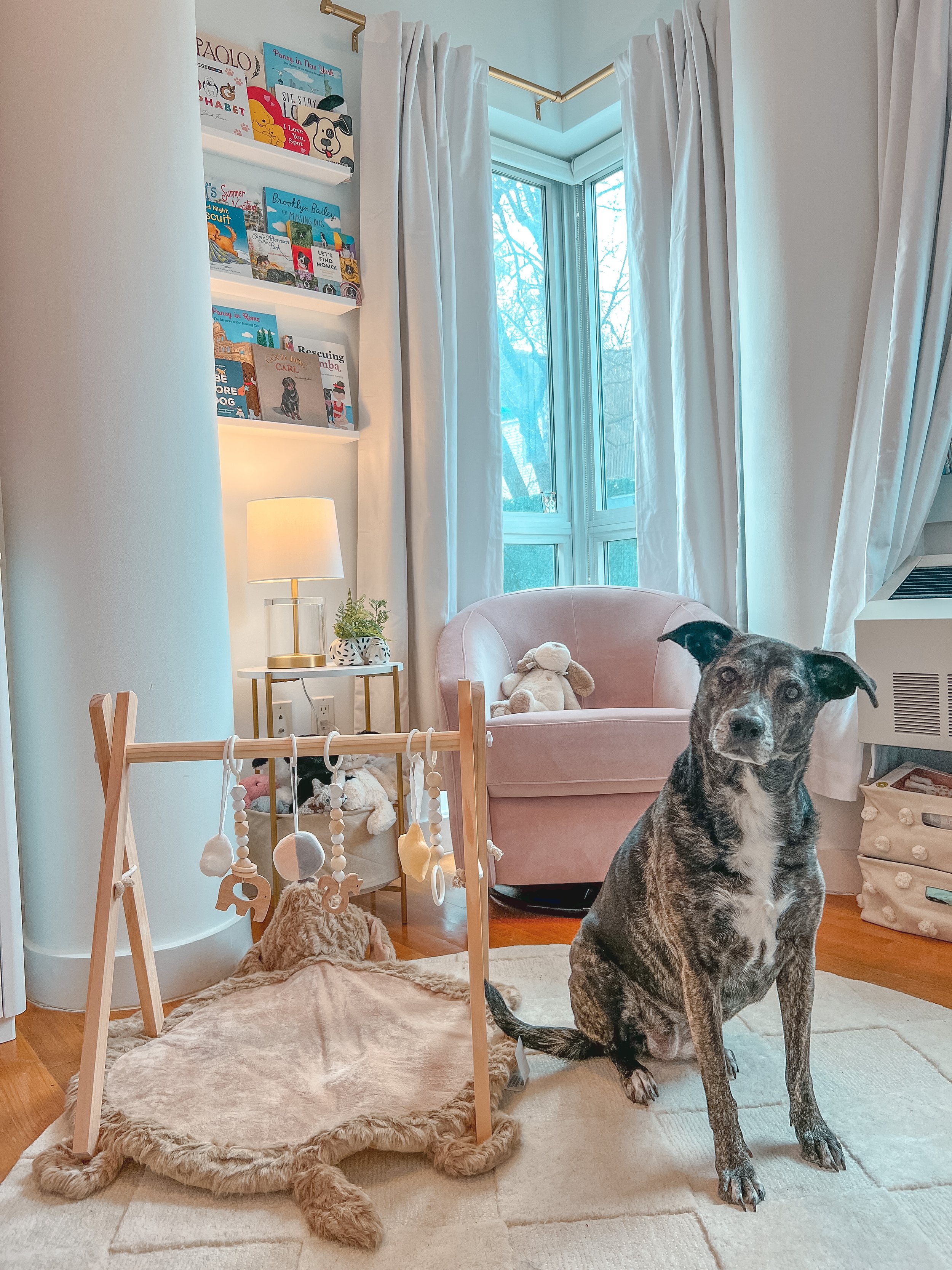 Dog- Themed Baby Nursery — Gal's Best Friend- Dog Mom Site