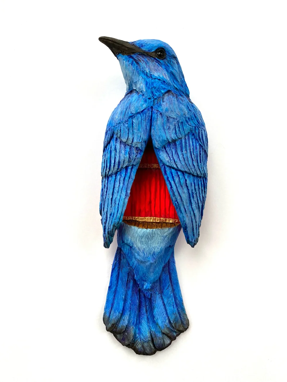 Weekly Update — Darla Jackson