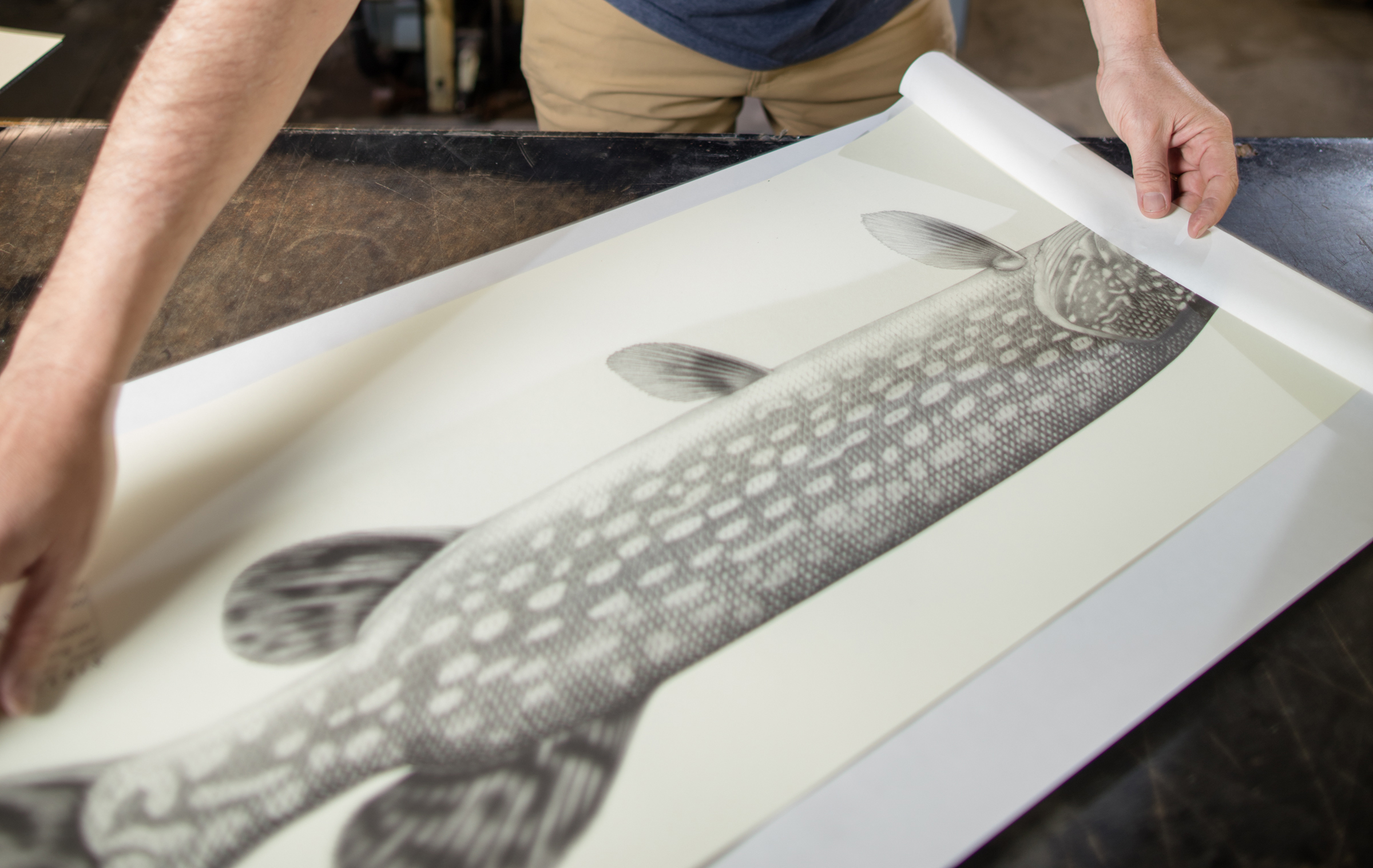 Fish Print Shop- Life-Size Prints