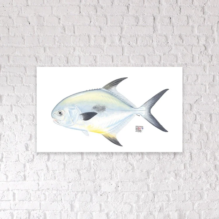 Fish Print Shop Life-Sized Prints