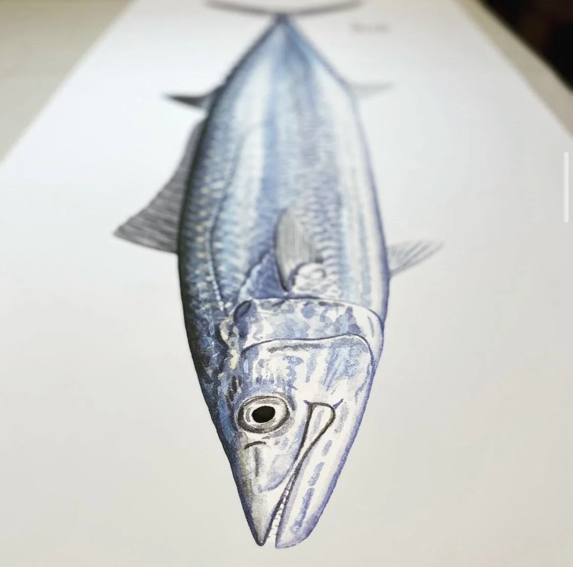 Fish Print Shop