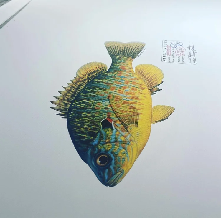 Fish Print Shop