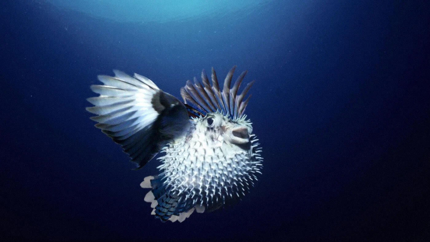 Meet the Pufferfish — Coral Key Scuba and Travel Denver