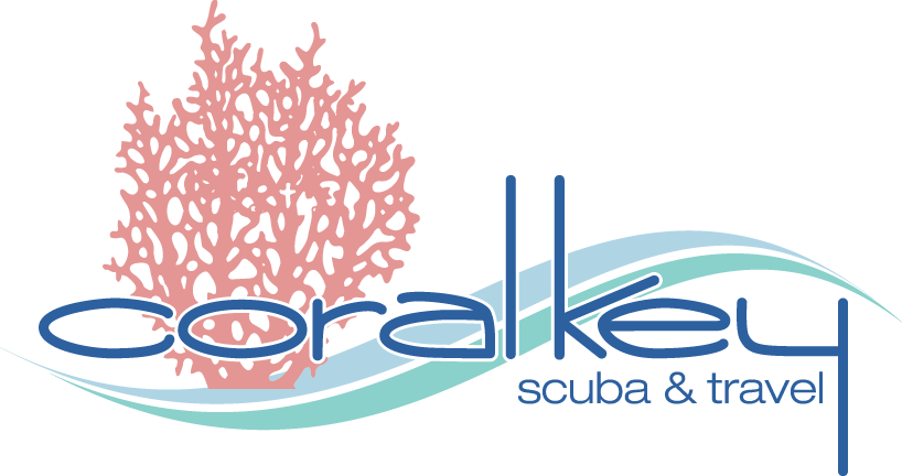 Cenote Trip — Coral Key Scuba and Travel Denver