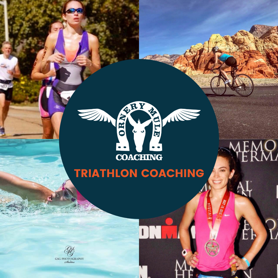 Triathlon Coaching — Ornery Mule Racing