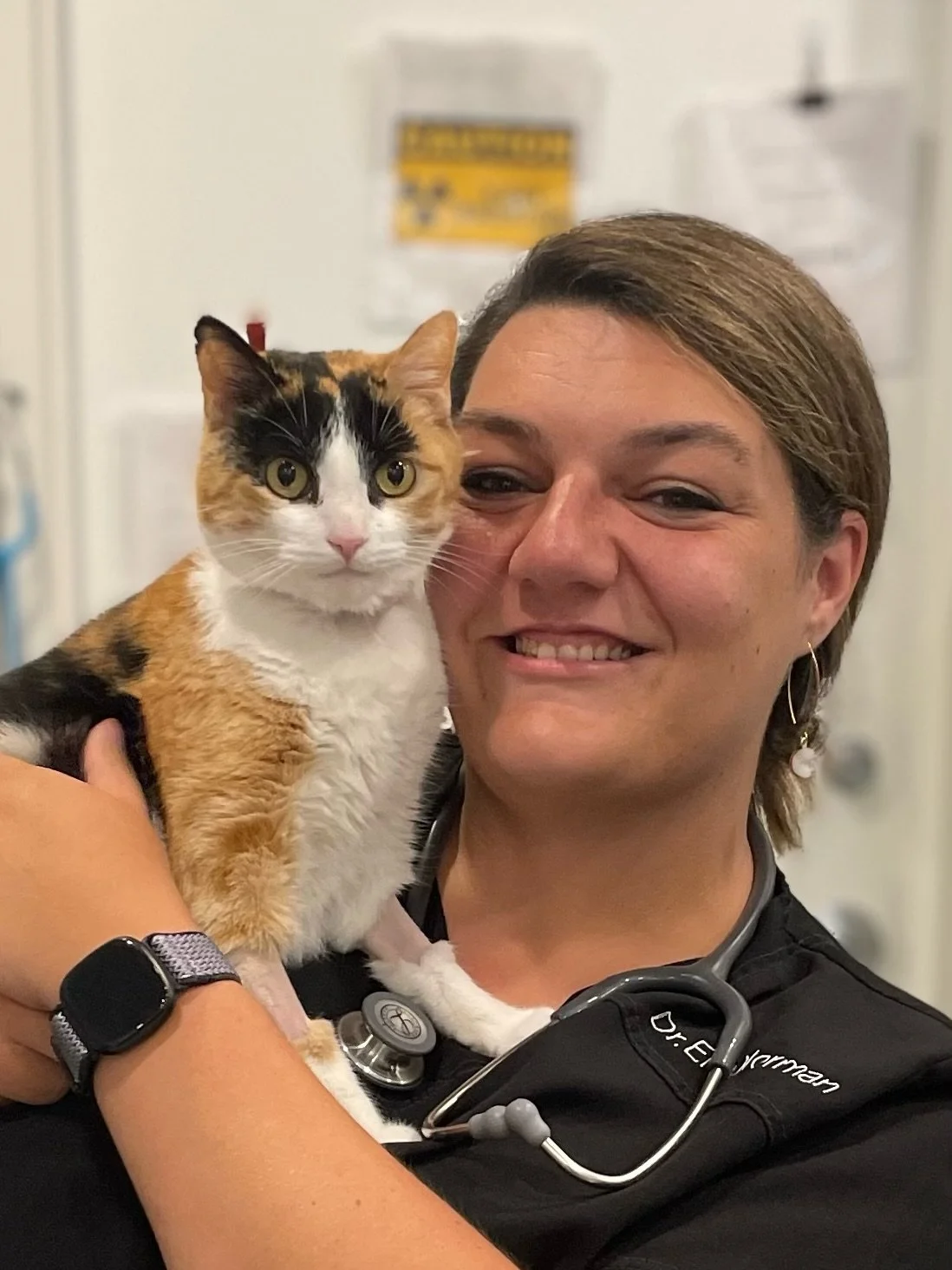 Riverside Veterinary Clinic - Our Practice