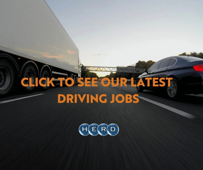 Herd Recruitment | driving jobs
