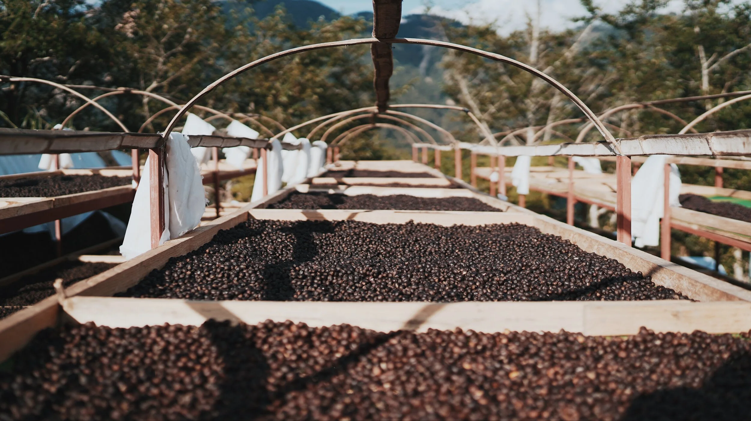 Kalsada Coffee PH