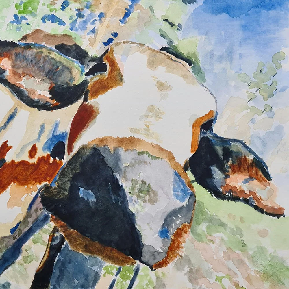 Carla Tebbutt — Borough of Ealing Art Trail