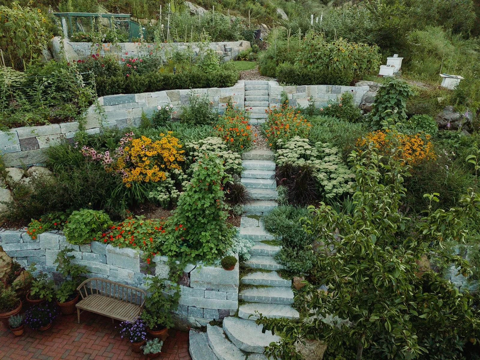 Modern Homestead Design