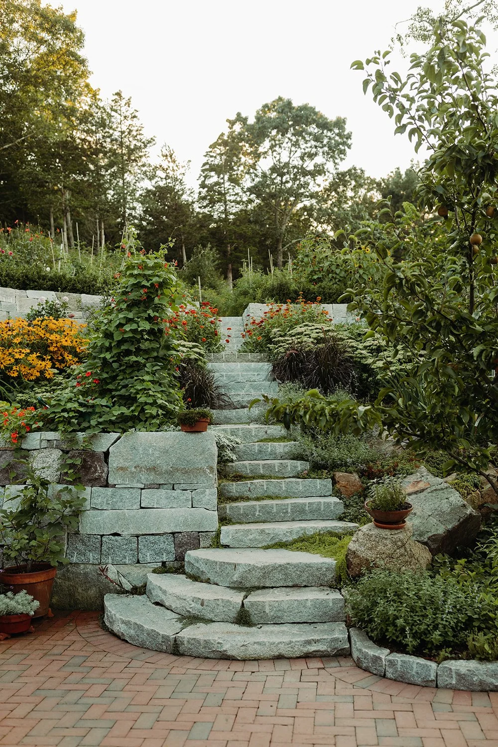 Design and Build: Our Homestead — Modern Homestead