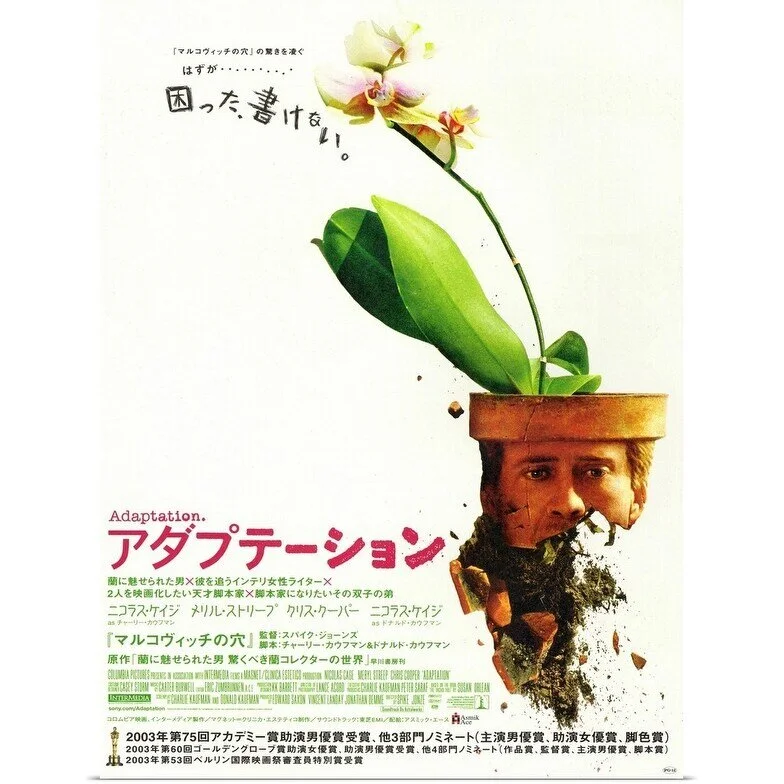 Film Adaptation Nicolas Cage