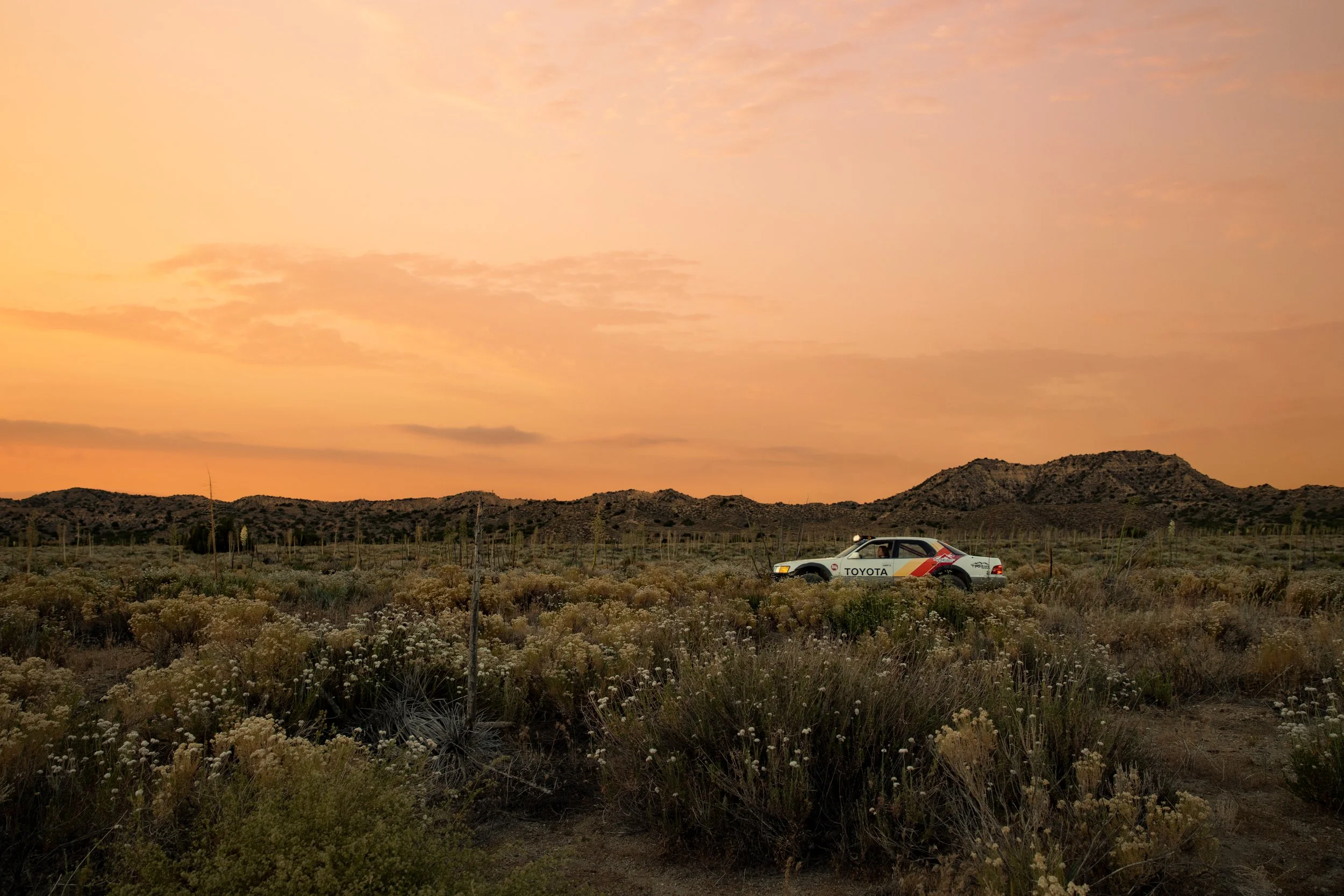 Natasha Adams’ 1990 Lexus LS 400 — Avants