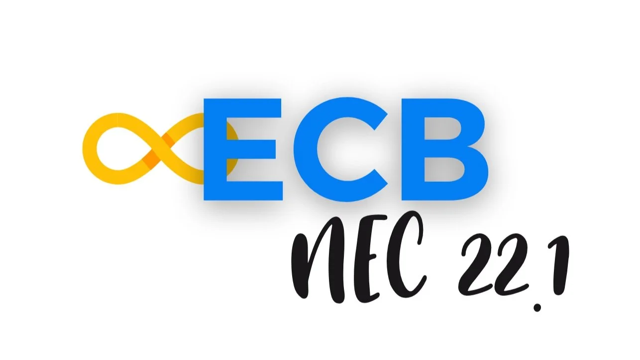 ECB NEC — AIESEC UNITED STATES HUB